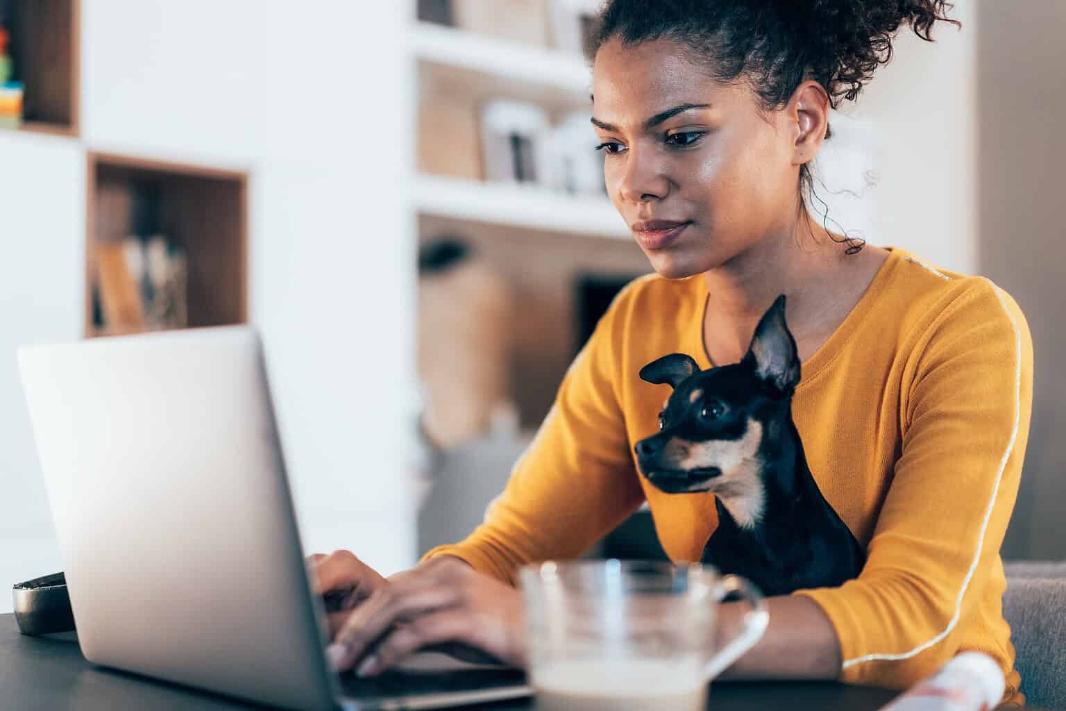 Understanding the Different Paths to Animal Care Careers - mefa.org