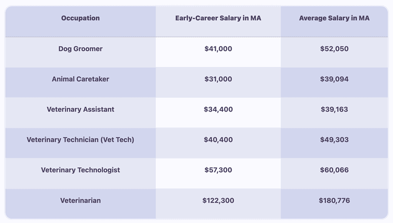 Understanding the Different Paths to Animal Care Careers - mefa.org